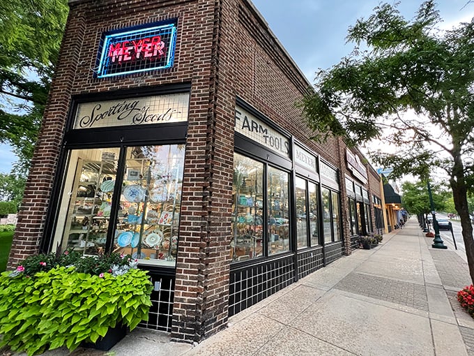 Meyer ACE Hardware's storefront preserves the charm of old-school retail, where personal service trumps big-box anonymity.