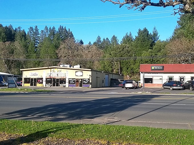 Small businesses thrive along Willits' thoroughfares, offering everything from necessities to novelties without a chain store in sight.