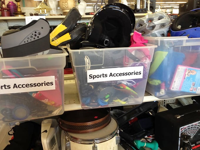 Sports accessories organized with military precision. Tennis rackets, goggles, and mysterious gear for sports you didn't know existed—all waiting for their comeback tour.