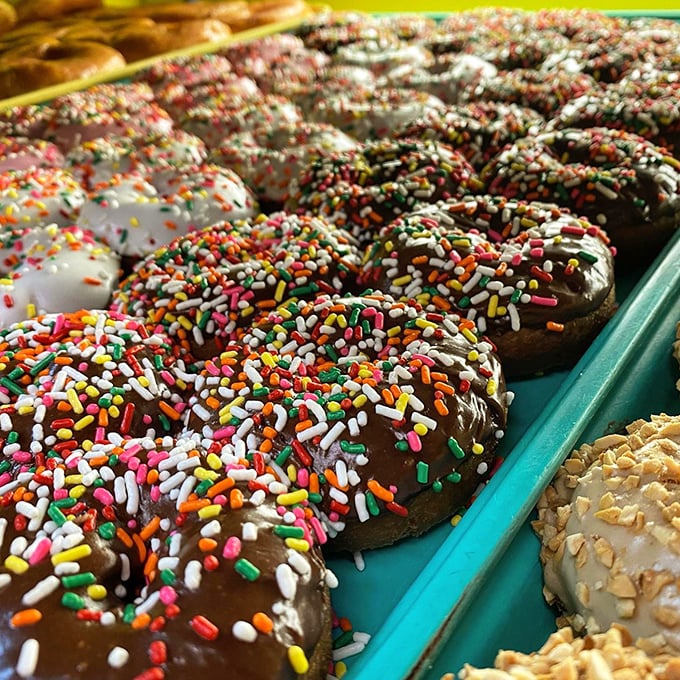 Sprinkle-topped donuts that bring childlike joy to grown-up palates—proof that sometimes the most colorful option is also the most necessary.