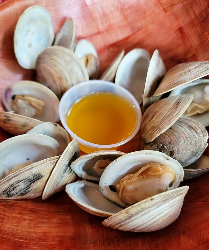 These steamed clams aren't just fresh—they're having a better day at the beach than most tourists, bathing in golden butter instead of sunscreen.