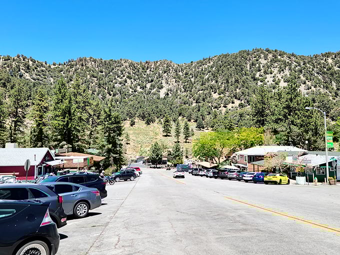 Street views this peaceful should come with a warning label for your blood pressure medication.