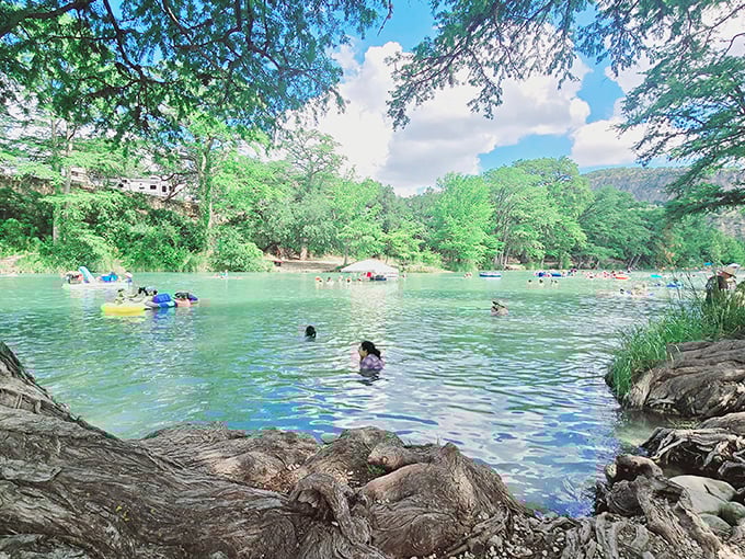 The Frio's swimming hole—where "refreshing" is Texan for "so cold it'll take your breath away but you'll jump in anyway."