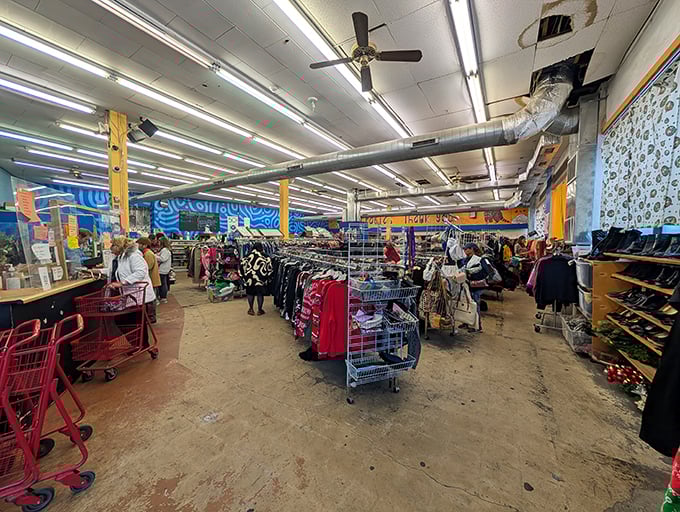 The thrill of the hunt in action—shoppers navigating the aisles like seasoned explorers, each cart a vessel for potential treasures.