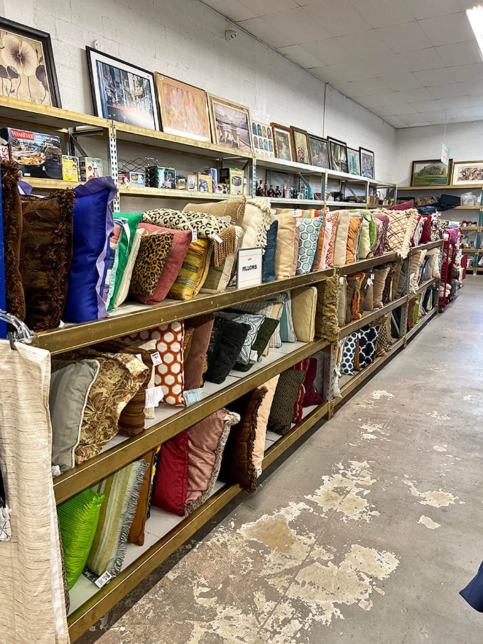 The pillow section offers a rainbow of possibilities for instant home makeovers. Change your couch's entire personality for less than lunch money.