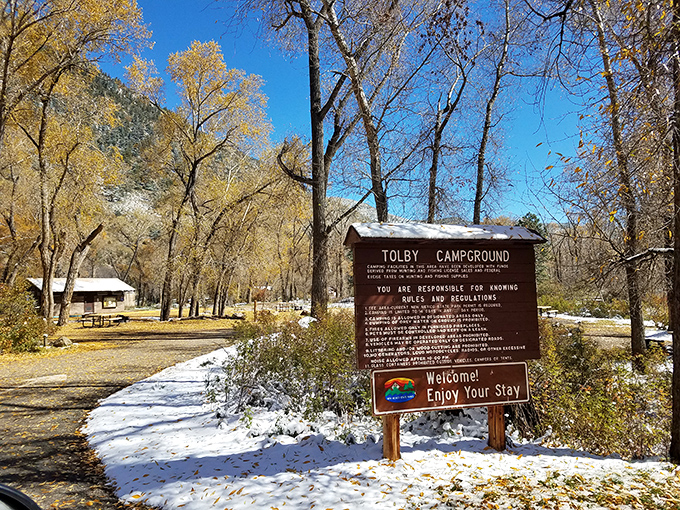 Tolby Campground in winter dress – where a dusting of snow transforms familiar paths into an enchanted forest straight out of Narnia.