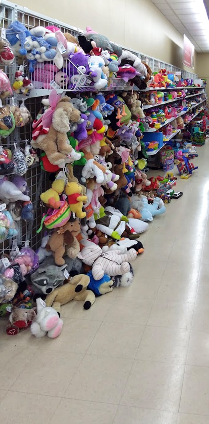 Stuffed animal heaven or adorable avalanche? This fuzzy wall of joy is where teddy bears go to find their forever homes. Cuddle responsibly!
