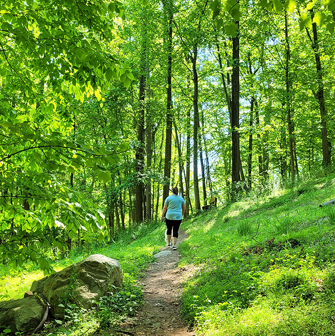 Forest trails so peaceful, you can actually hear your thoughts – which might be alarming at first.