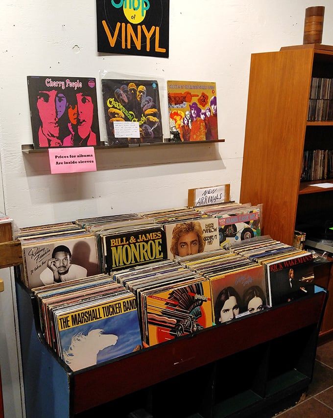 Album covers as art, music as treasure—this vinyl collection offers both sound and sight in an experience no digital playlist can match.