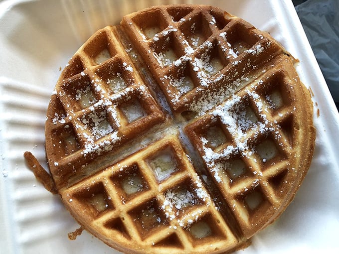 Waffle architecture at its finest – those perfect squares creating syrup reservoirs while a dusting of powdered sugar adds that touch of breakfast elegance.