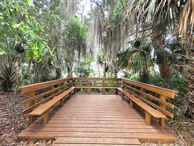Nature's conference room: This wooden deck provides the perfect gathering spot for contemplating life's big questions or simply enjoying the view.