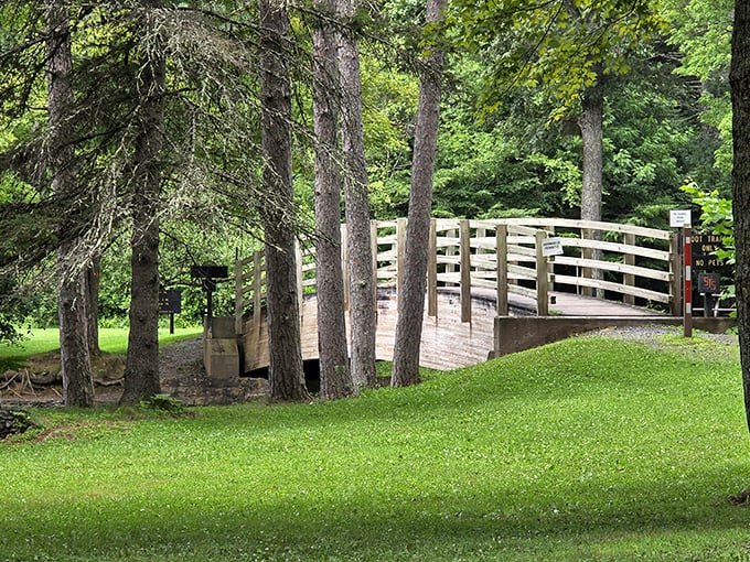A wooden footbridge invites you to channel your inner troll – the friendly, non-scary kind who just likes bridges.