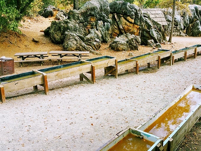 These wooden sluices aren't just historical displays—they're working gold panning stations where modern visitors can experience the thrill of possibly striking it rich.