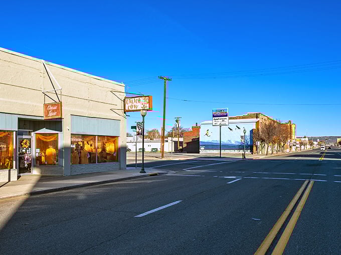 The Calico Cow meets flying geese murals! Alturas serves small-town realness with artistic flair, where shadows stretch long across roads less traveled.