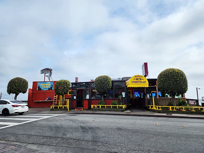 Perched along the Half Moon Bay coast, Barbara’s Fishtrap pairs its laid-back roadside charm with the kind of ultra-fresh seafood that keeps locals and travelers lining up year-round.