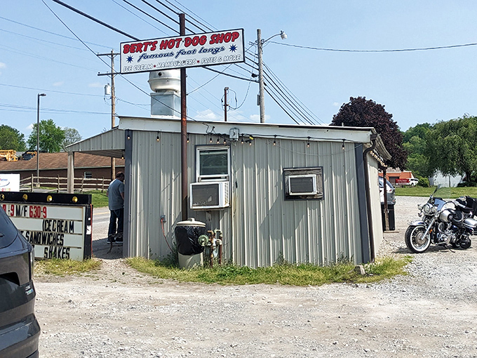 Roadside stands prove that great food doesn't need fancy digs – just passionate people behind the grill.