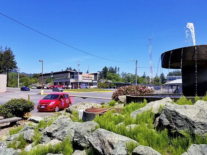 Brookings' coastline offers whale watching, beachcombing, and vitamin D therapy, all included in the rent.