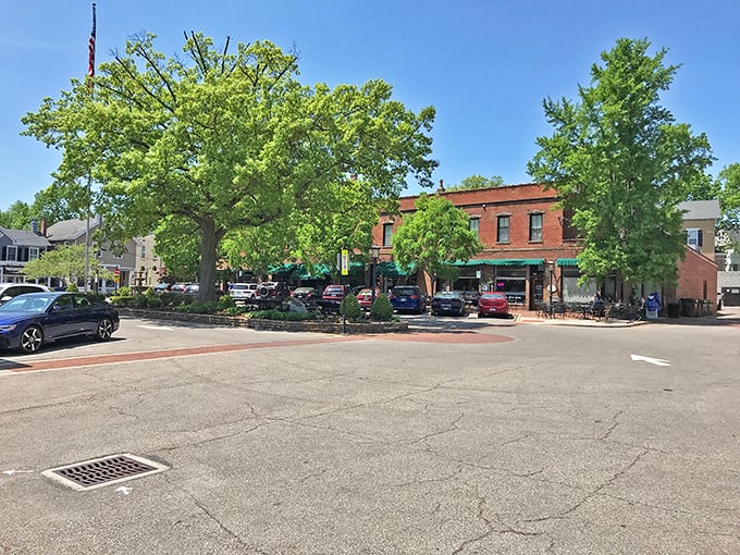 Glendale's tree-lined streets create natural cathedral arches over sidewalks designed for leisurely strolls and friendly conversations.