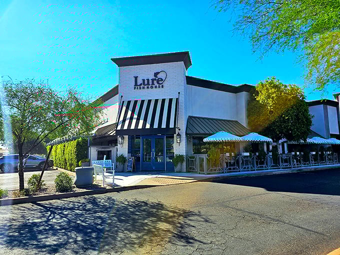 Lure's modern nautical design whispers upscale coastal dining with those crisp white brick walls.