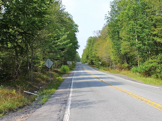 Mount Carmel's streets welcome ATVs alongside cars, showcasing the relaxed, budget-friendly lifestyle that awaits retirees.