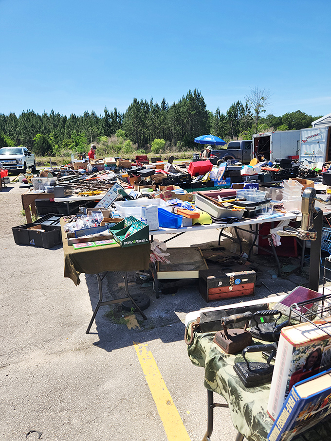 Organized chaos at its finest, where one person's clutter becomes another's perfect treasure discovery moment.