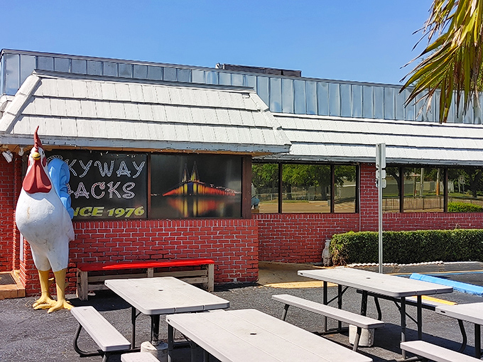 Skyway Jack's rooster mascot stands guard over decades of St. Petersburg breakfast traditions and memories.