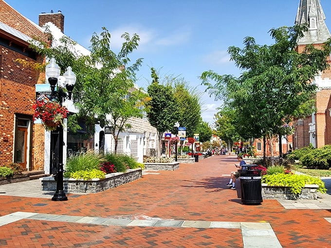 Winchester's brick-paved pedestrian paradise: where shopping meets socializing and every bench invites you to people-watch like it's an Olympic sport.