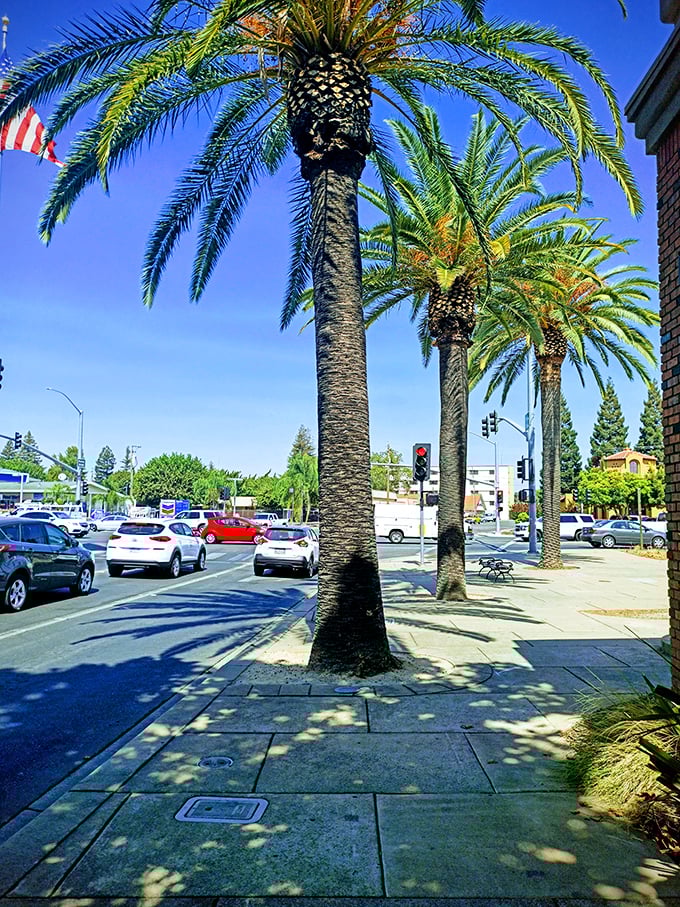 Yuba City's quiet streets promise peaceful retirement days without the coastal California price tag attached.