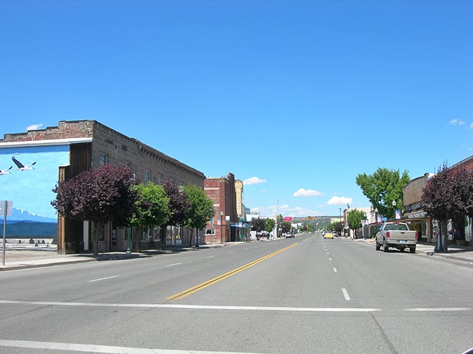 Main Street, Alturas—where brick buildings stand shoulder-to-shoulder like old friends, and those flying geese murals remind you that everyone here is free to soar.