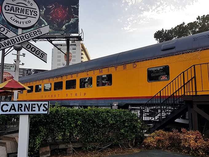 All aboard the flavor express – this converted passenger car serves up hot dogs with a side of nostalgia.