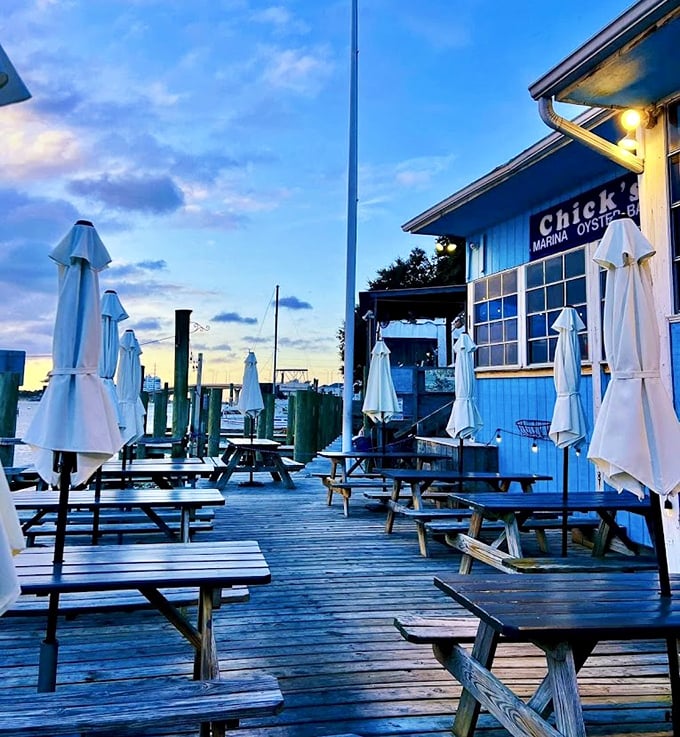 The simple blue exterior hides a seafood paradise where boats dock directly outside. Can't get fresher unless you're wearing gills.