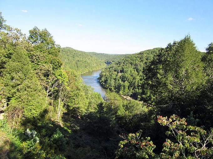 The Kentucky River carves through lush green forest, creating a peaceful valley view that makes stress melt away faster than ice cream in July.