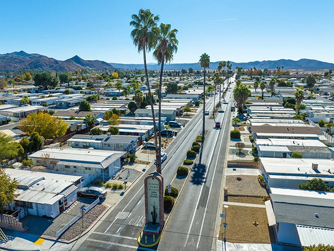 Palm trees and mountain vistas create Hemet's signature landscape, where Southern California desert living feels both exotic and familiar.