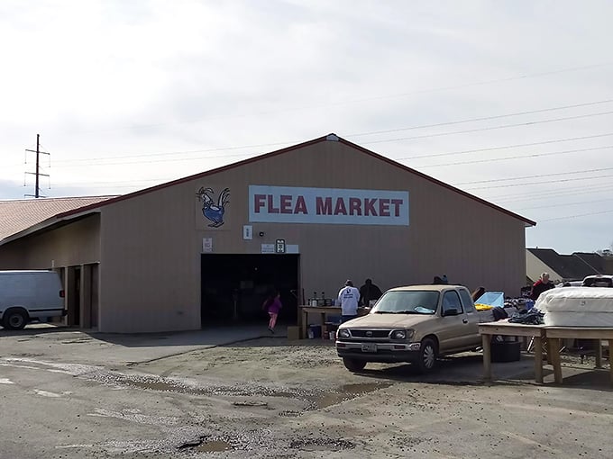 Welcome to Miller's Flea Market — a bustling indoor market where you can find all kinds of treasures under one roof.