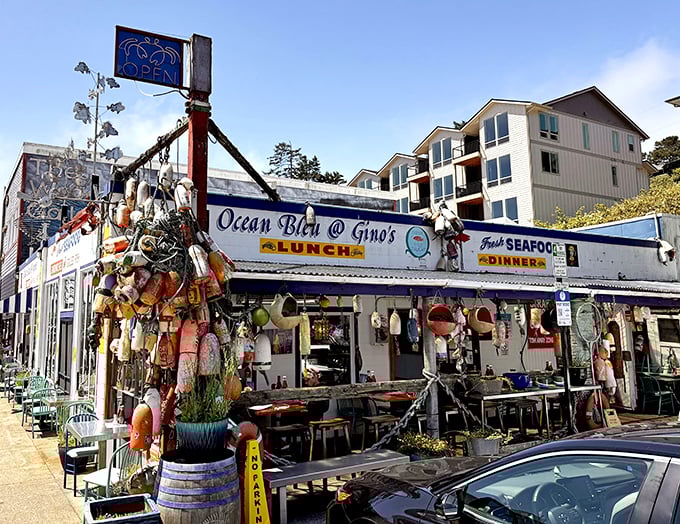 Those colorful buoys aren't just decoration—they're a promise that your seafood was swimming recently. Authenticity you can taste.