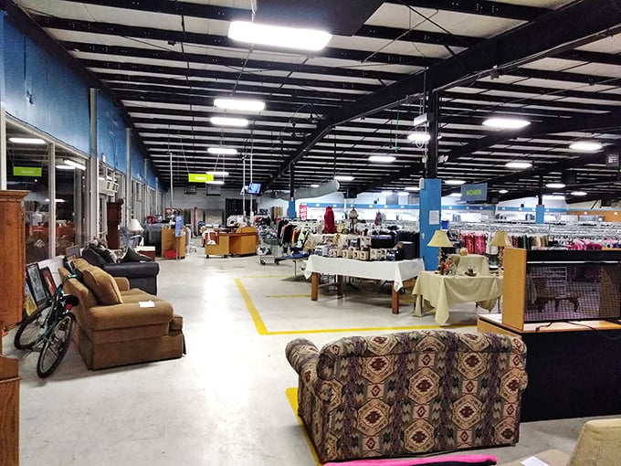 Warehouse-style organization means you can actually find what you're looking for without losing sanity.