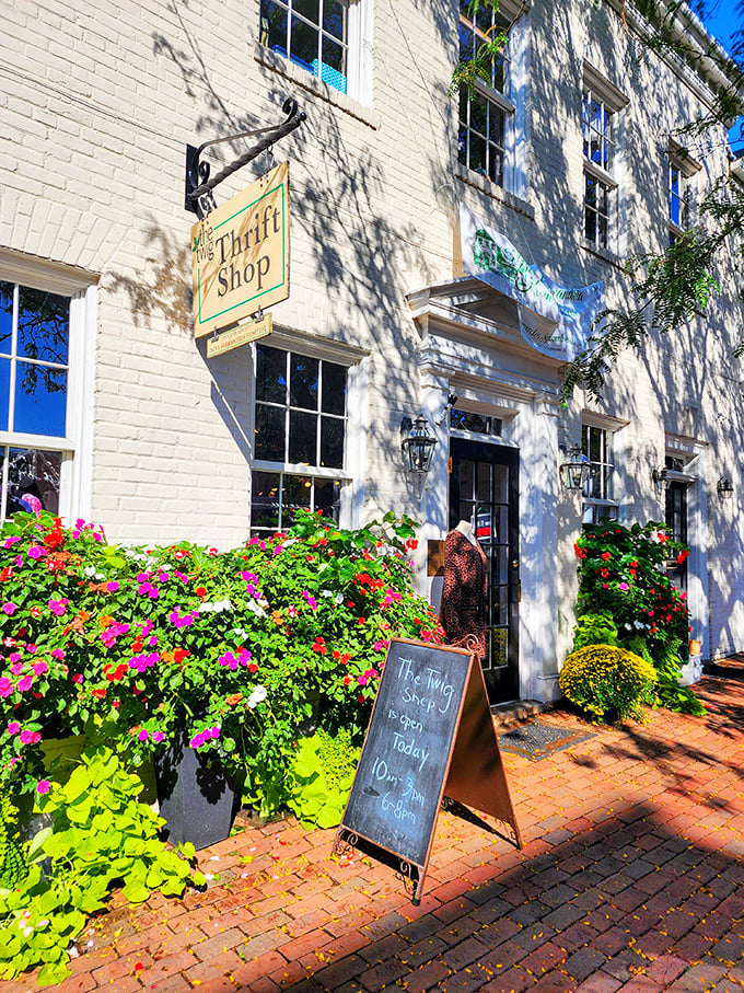 The Thrift Shop sign swings gently above colorful flowers, promising a boutique experience at thrift prices.