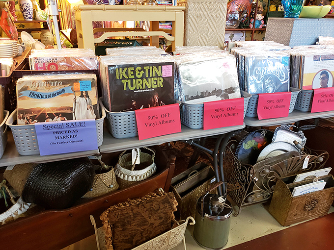 From Ike & Tina Turner to classic Carpenters, these vinyl albums aren't just music—they're the soundtrack of our lives, waiting to spin again.