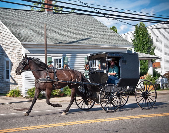 An Amish buggy shares the road with modern cars – rush hour never looked so peaceful.