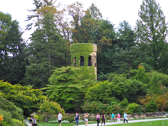 Same tower, different angle—visitors gather below what looks like nature's version of a medieval lookout post gone wonderfully green.
