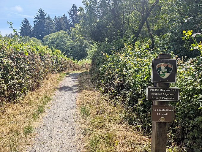 Nature's invitation: a trail disappearing into greenery, promising adventure just steps from civilization. No GPS required—getting pleasantly lost is the point.