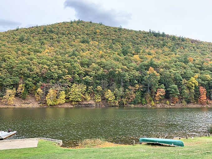 Autumn's fashion show on full display across the hillside. The trees compete for "Best Dressed" while the lake judges impartially below.
