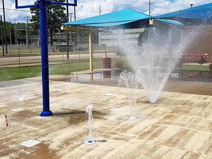 Nothing says "summer in Louisiana" quite like children dancing through fountains – nature's air conditioning with a side of pure joy. 