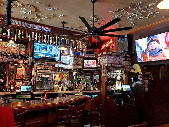 Dollar bills and license plates aren't just decoration—they're the wallpaper of memories, watched over by a moose who's seen it all.