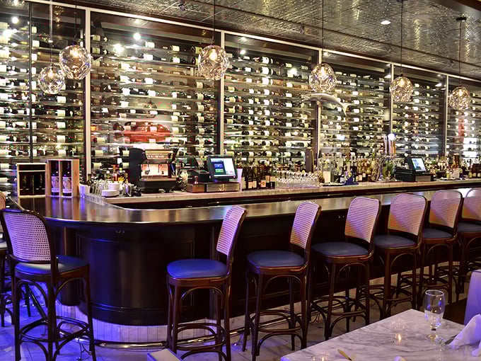 A bar that makes you wonder if you've accidentally wandered into the world's most sophisticated aquarium where the fish watch you drink.