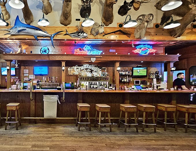 The sports lounge bar – where mounted fish and neon signs create the perfect backdrop for cold beers and hot takes on last night's game.