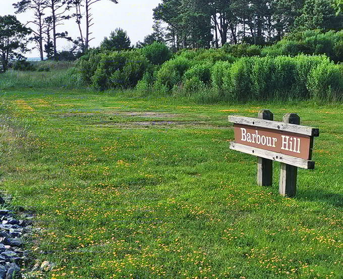 Barbour Hill's wildflower welcome mat outshines any designer version. Mother Nature's landscaping puts HGTV to shame every single time.