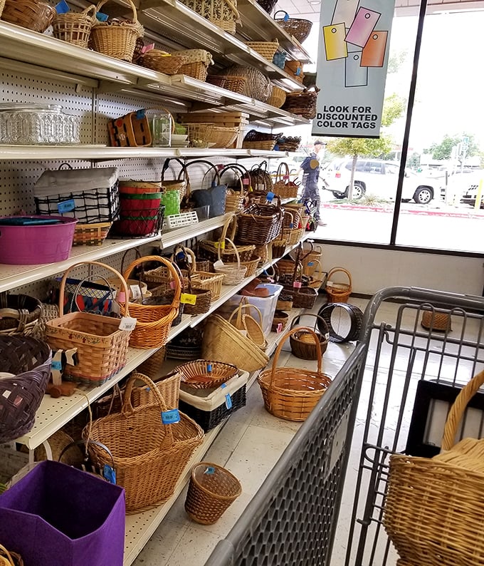 Basket paradise – from picnic-ready classics to bohemian storage solutions that Joanna Gaines would quietly covet.