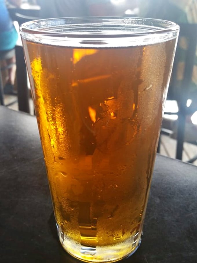 A cold beer with condensation running down the glass – Florida's version of air conditioning in a pint, best enjoyed slowly.