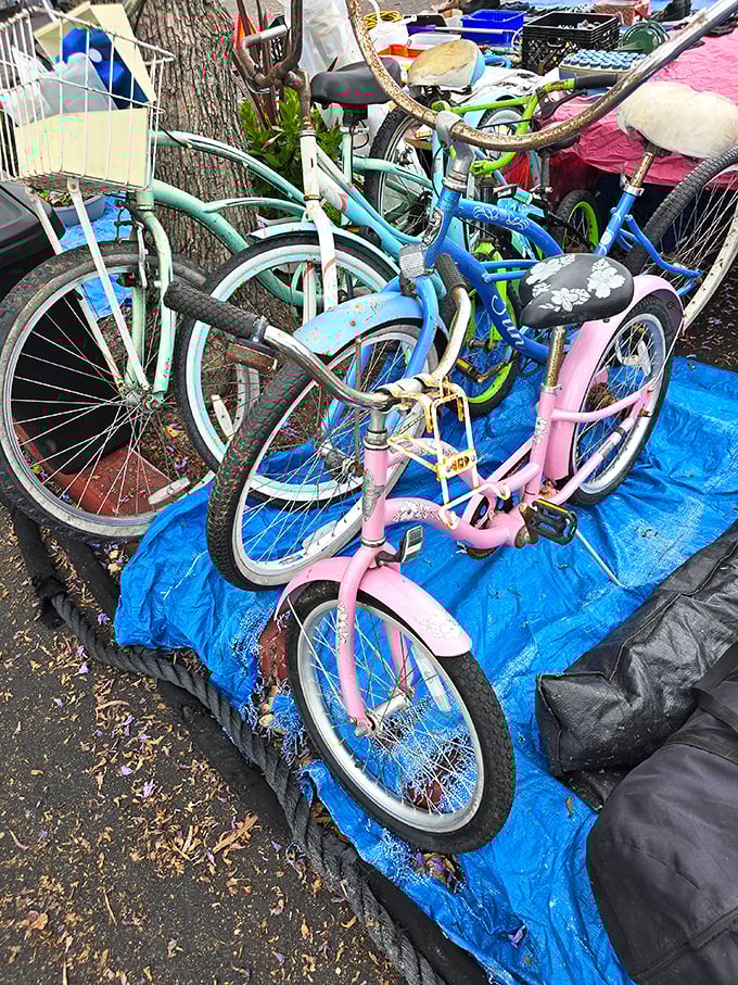 Bicycle graveyard or transportation treasure trove? These pastel beauties await their next neighborhood adventure.